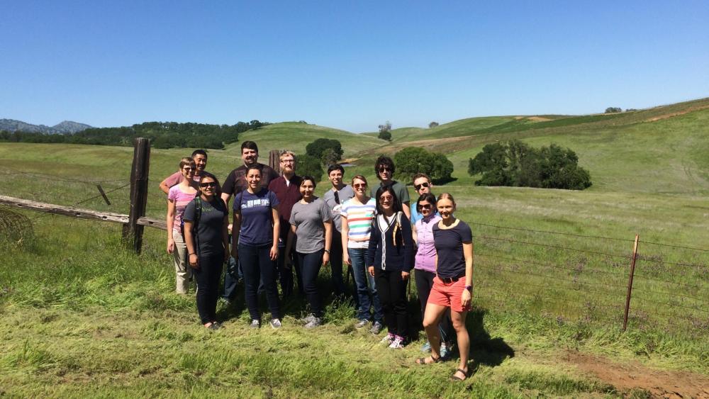 Homepage | The LaSalle Lab